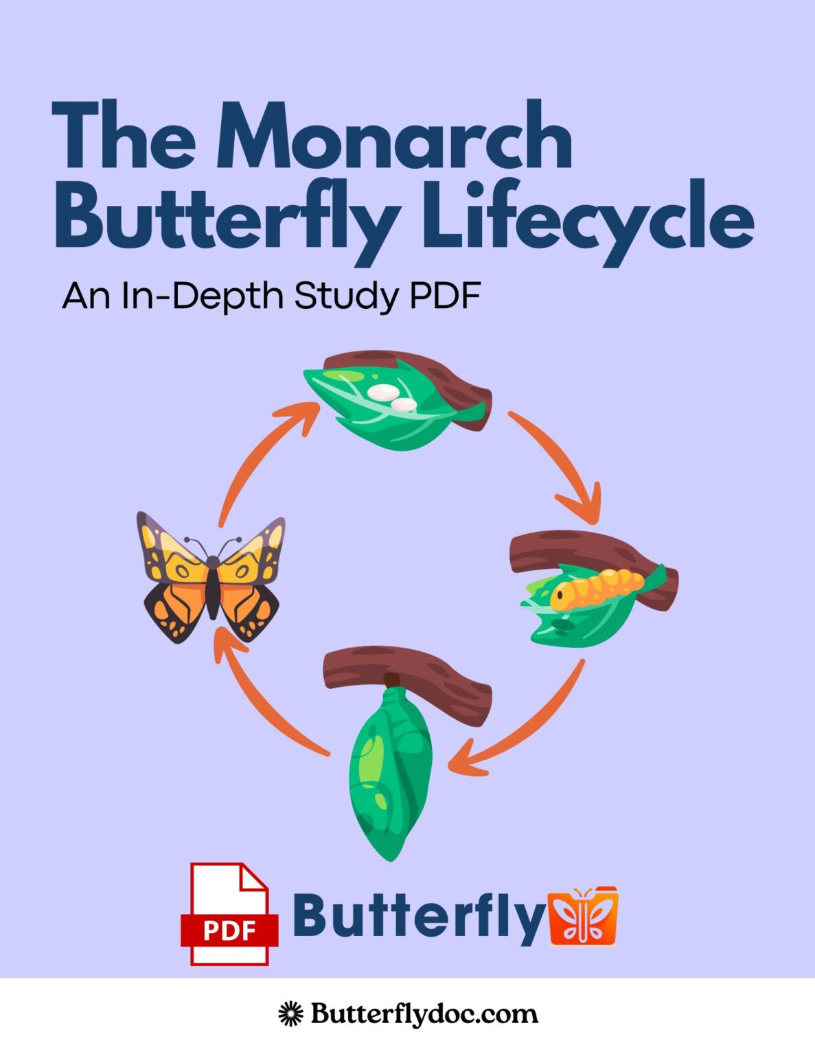 Butterfly Species Identification Chart: Visual PDF Resource Butterfly Species Identification Chart: Visual PDF Resource